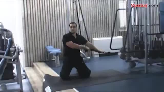 Kneeling Rotational Reverse Chop | myworkouts.io