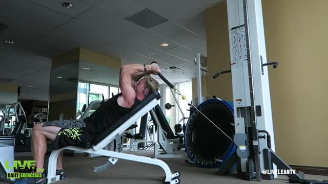 Cable Incline Triceps Extension | myworkouts.io