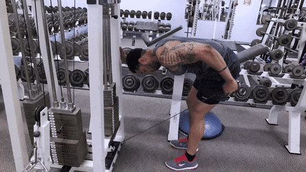 Cable Tricep Kickback Gif
