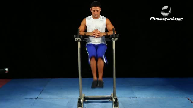 Vertical Leg-Hip Raise | myworkouts.io